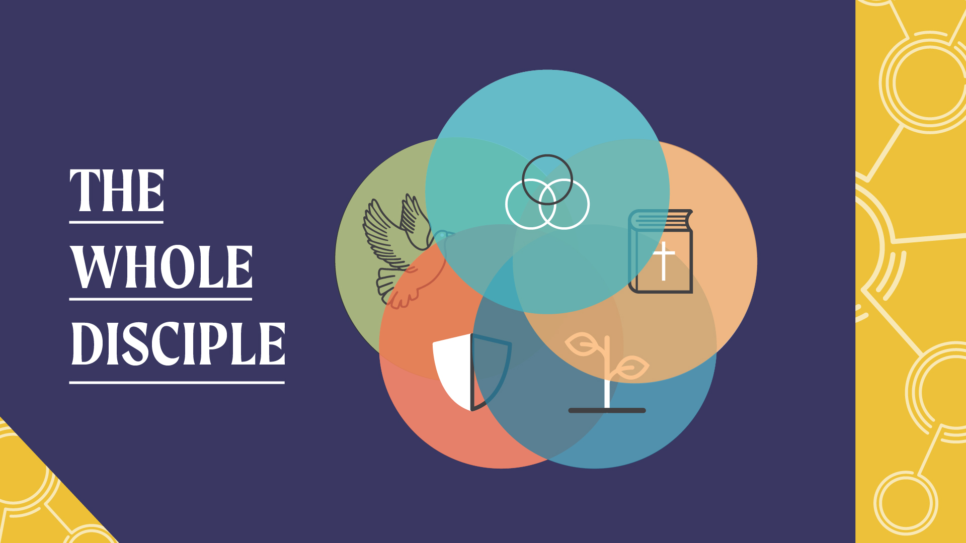 The Whole Disciple Series | The Summit Church